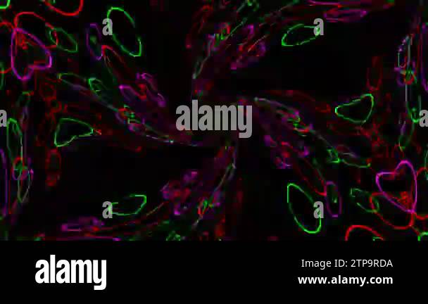 Looped seamless footage for your event, concert, stage design, title ...