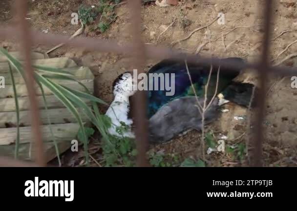 Living in istanbul Stock Videos & Footage - HD and 4K Video Clips - Alamy