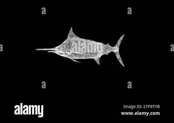 3D Saw fish rotates on black background. Underwater life concept ...