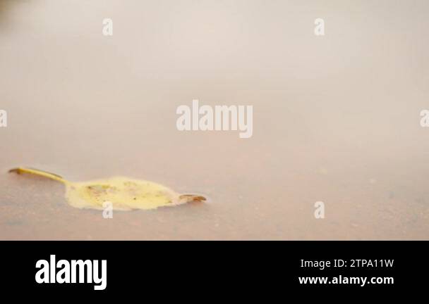 Crushed clay Stock Videos & Footage - HD and 4K Video Clips - Alamy