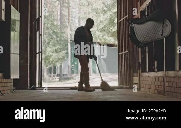 Full shot of young black man sweeping floor in horse stable while doing ...