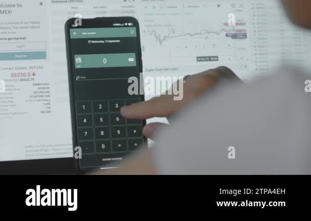 Smart money management. Using technology to track budget. A person who ...
