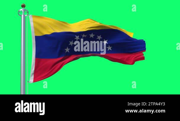 Argentina national flag waving on green screen. Threel blue and white ...