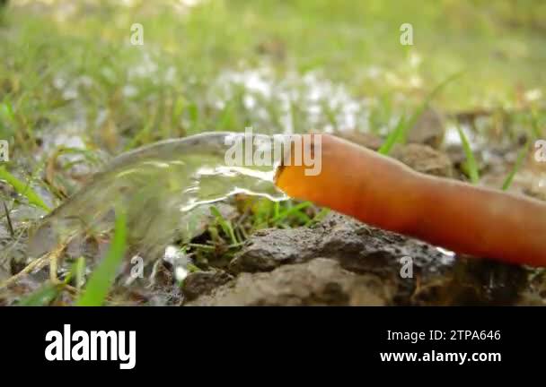 Irrigation water flow from pipe to canal for agriculture fields , slow ...