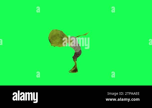 Funny green screen animated zombie dancing right angle cartoon ...