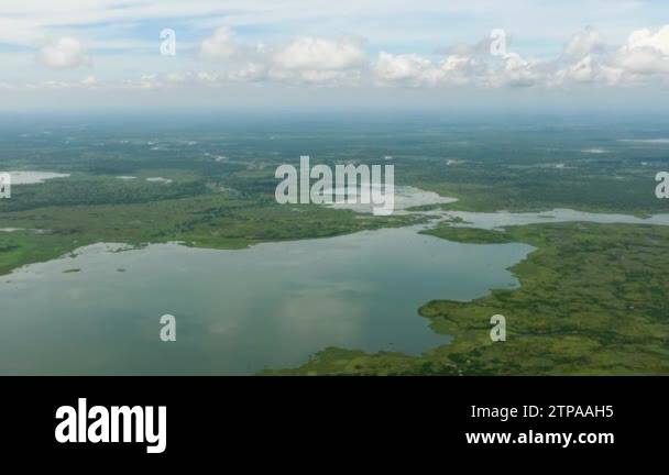 Agusan Marsh Wildlife Sanctuary: A vast wetland of swamp forests ...