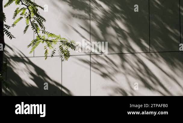 Green tiled building Stock Videos & Footage - HD and 4K Video Clips - Alamy