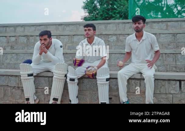 Happy cricket fans Stock Videos & Footage - HD and 4K Video Clips - Alamy