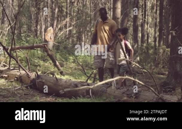 Father and daughter hiking through the forest Stock Videos & Footage ...