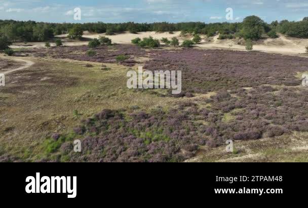 Protected nature areas Stock Videos & Footage - HD and 4K Video Clips ...