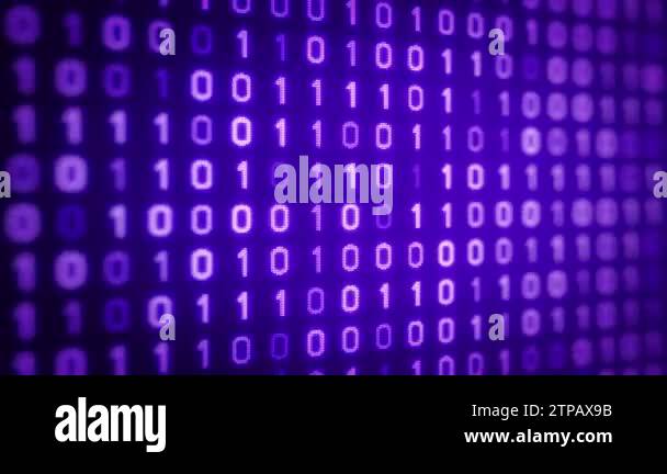 Technology purple background with binary code moves downwards on digital screen. Seamless loop ...