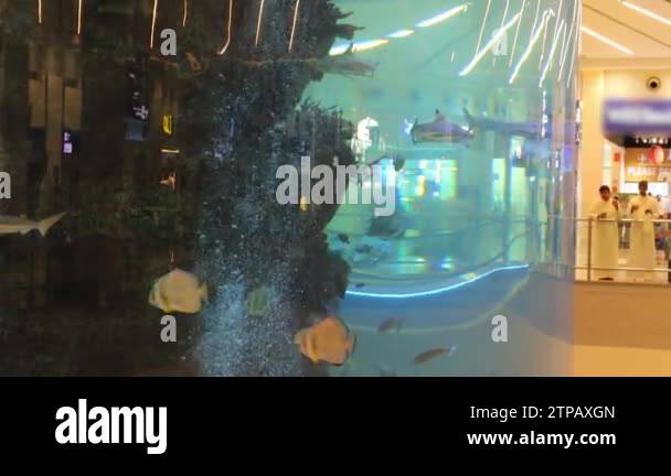 Jeddah, KSA - November 5th 2023: The huge coral reef aquarium at the ...