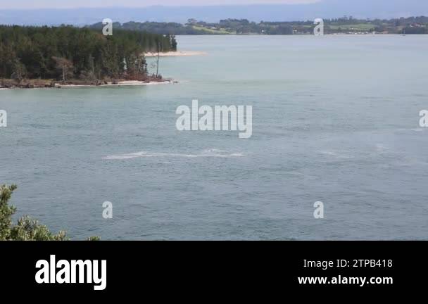 Shelly bay beach Stock Videos & Footage - HD and 4K Video Clips - Alamy