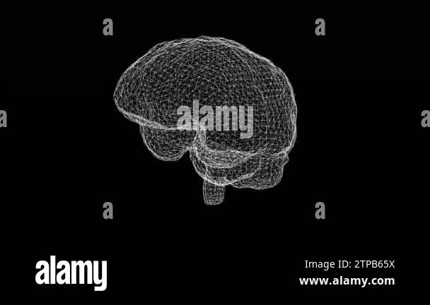 Spinning 3d wireframe human brain motion graphics with plain black ...