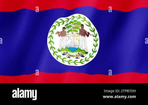 Belize Flag. National 3d Belize flag waving. Flag of Belize footage ...