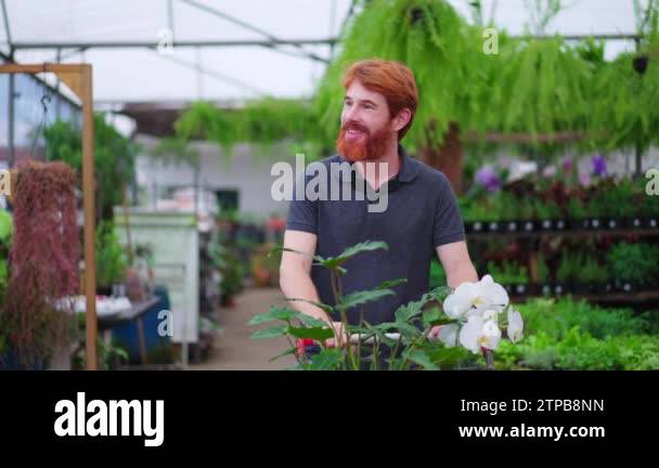 Garden shop aisle Stock Videos & Footage - HD and 4K Video Clips - Alamy