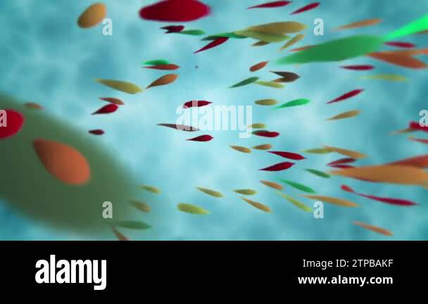 A shoal of colorful tropical fish swimming in a blue ocean or aquarium ...