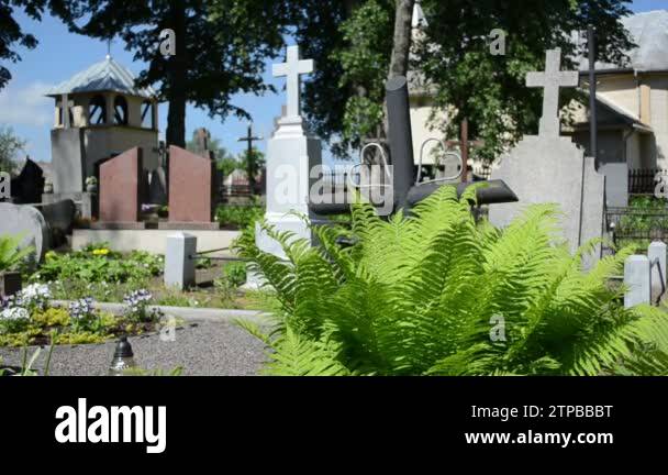 Fern cross countryside Stock Videos & Footage - HD and 4K Video Clips ...