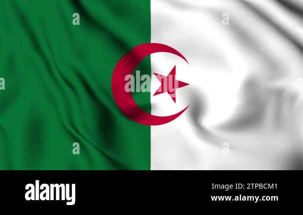 Algeria waving flag 4K animation video. Algerian waving flag seamless ...