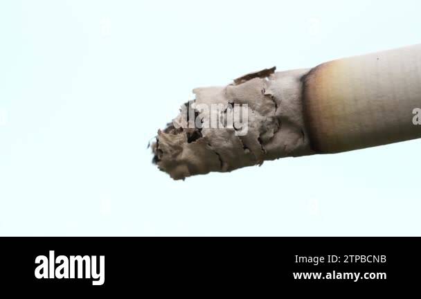 Macro cigarette Stock Videos & Footage - HD and 4K Video Clips - Alamy