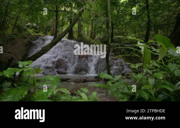 Beautiful scenery of cascade with water flowing from the mountain over the rocks through lush ...