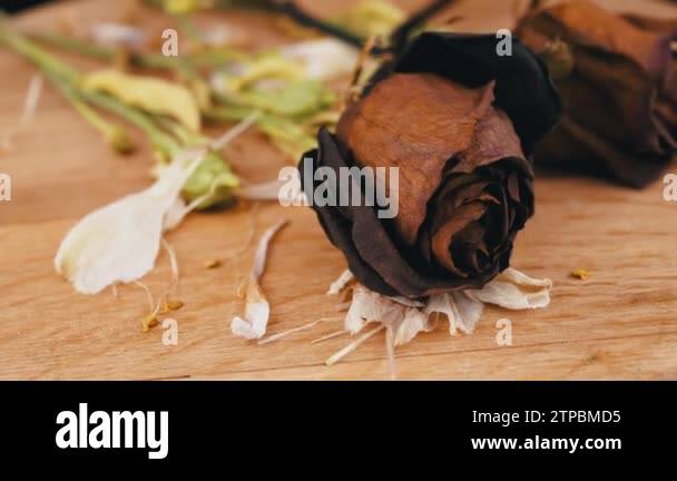 Dead bouquet Stock Videos & Footage - HD and 4K Video Clips - Alamy