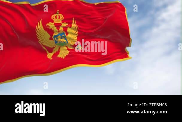 Montenegro eagle crest Stock Videos & Footage - HD and 4K Video Clips ...