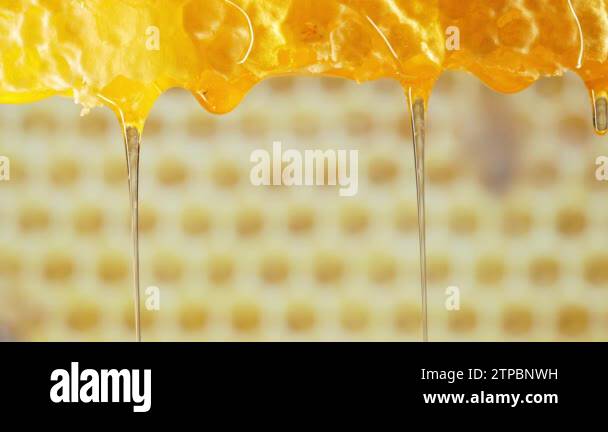 Gold pollination Stock Videos & Footage - HD and 4K Video Clips - Alamy