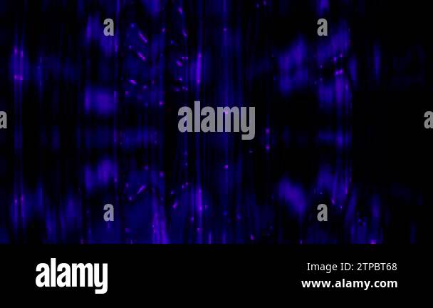Lights flickering in blue light matrix background 4k animation concept ...