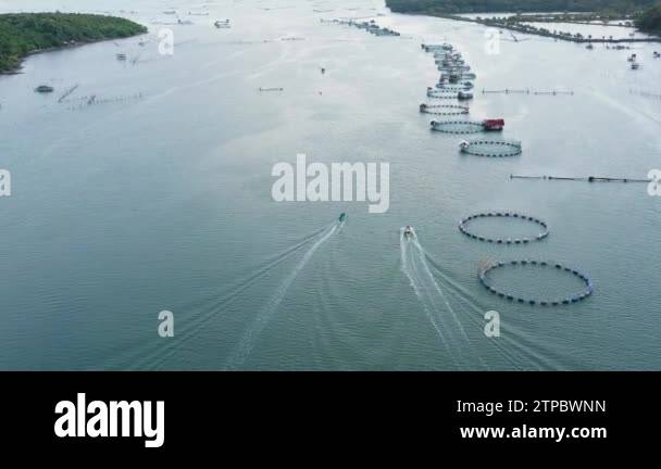 Fish cage for tilapia, milkfish farming aquaculture or pisciculture ...