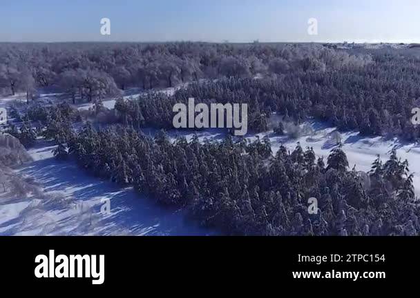 Icy forest Stock Videos & Footage - HD and 4K Video Clips - Alamy