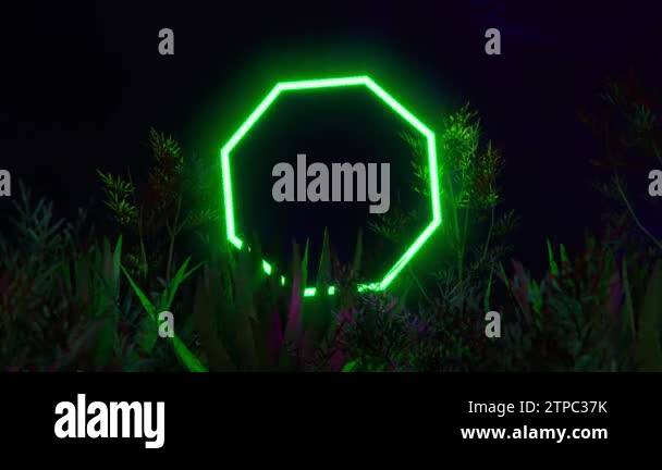 Neon octagon rotating among tropical plants. Loop 3d animation Stock ...