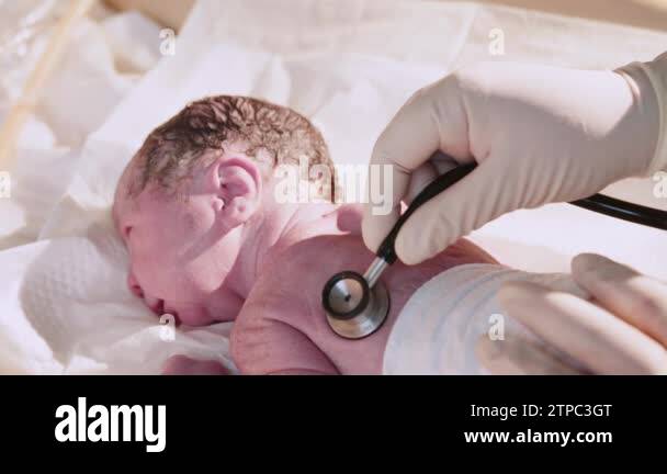 Newborn baby in hospital. Maternity professional pediatrician. Doctor ...