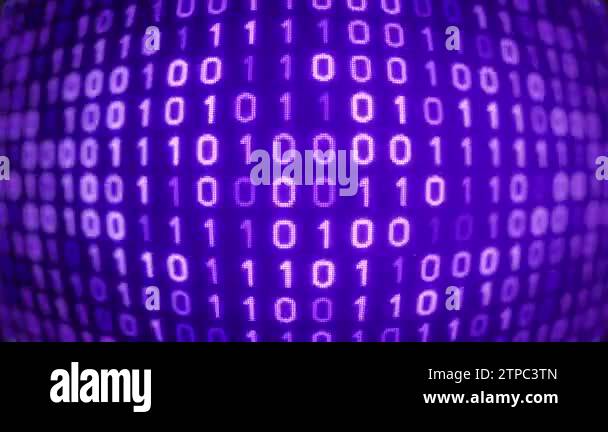 Technology purple background with animated strokes of binary code on ...