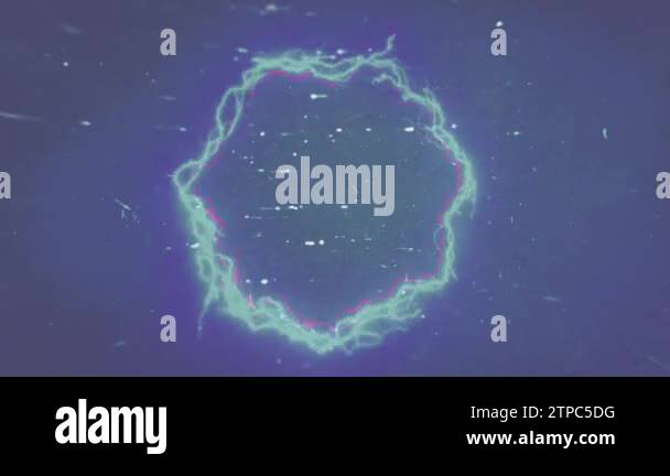 Electric rays Stock Videos & Footage - HD and 4K Video Clips - Alamy