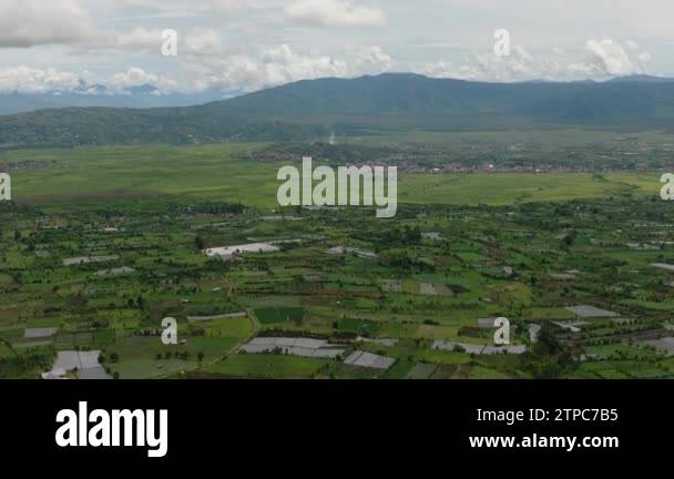 Farm and agricultural land with crops in the mountainous area. Kayu Aro ...