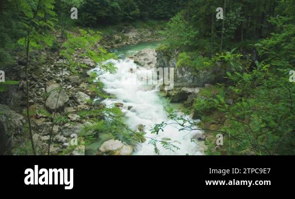 Mountain river with clear whitewater flow in spring green forest ...