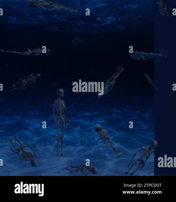 Bones sea Stock Videos & Footage - HD and 4K Video Clips - Alamy