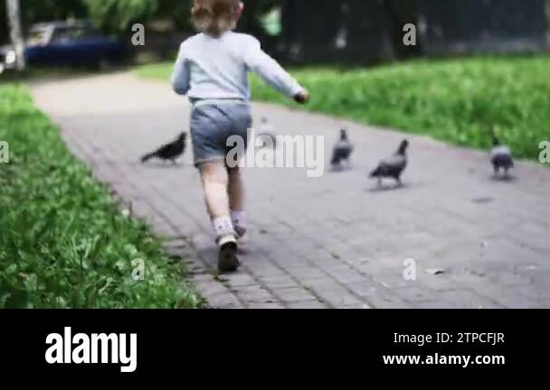 Little boy running for doves in summer park. Playground. Walking ...