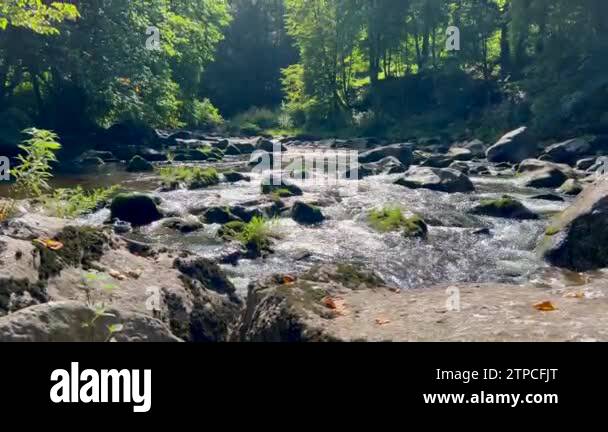 High flow streams Stock Videos & Footage - HD and 4K Video Clips - Alamy