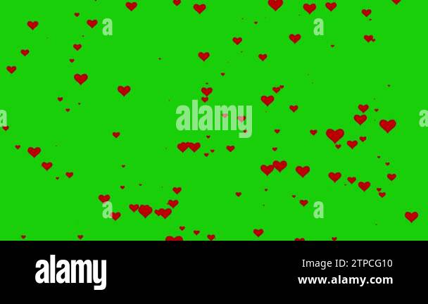 Hearts Animation. Falling Hearts effect Down (Chroma key). 4K animation ...