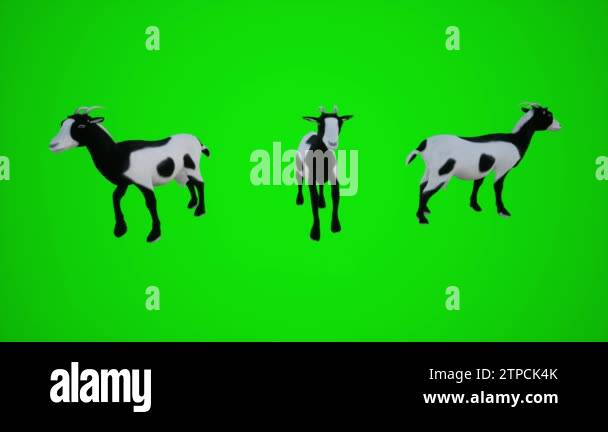 3D animation with three different angles to visualize the visual ...