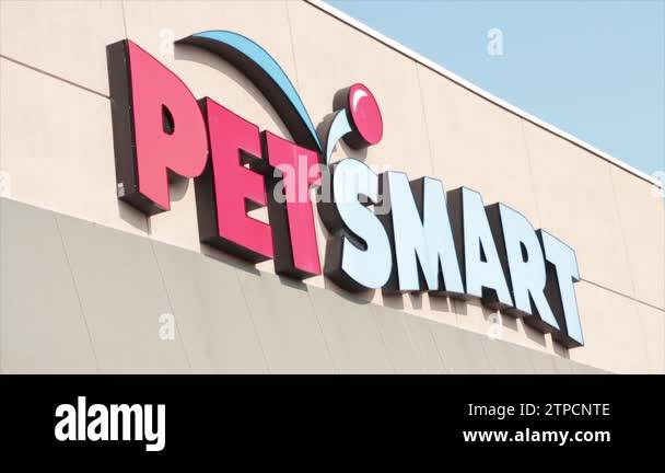 Paw business logo Stock Videos & Footage - HD and 4K Video Clips - Alamy