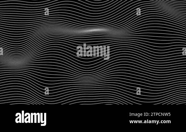 Animated Abstract white color horizontal wavy lines moving on black ... Animated Abstract white color horizontal wavy lines moving on black ...