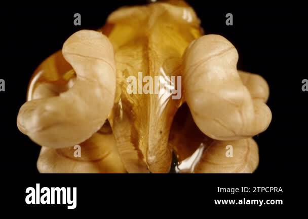 Walnut brain Stock Videos & Footage - HD and 4K Video Clips - Alamy