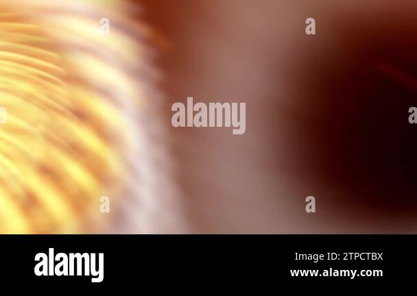 Blurry yellow orange color Stock Videos & Footage - HD and 4K Video ...