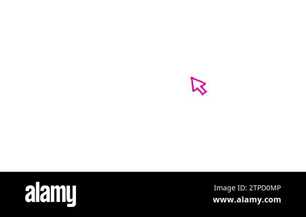 Animated pink symbol of mouse cursor. magenta arrow moves out and clicks. Icon in sketch style ...