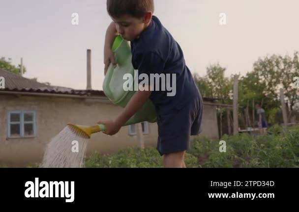 Little caucasian boy in a t-shirt working in the garden watering first spring flowers on a warm ...