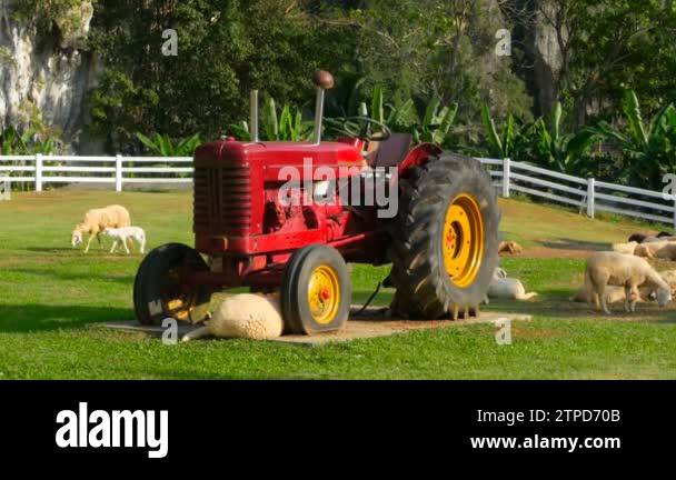 Red tractor lamb Stock Videos & Footage - HD and 4K Video Clips - Alamy