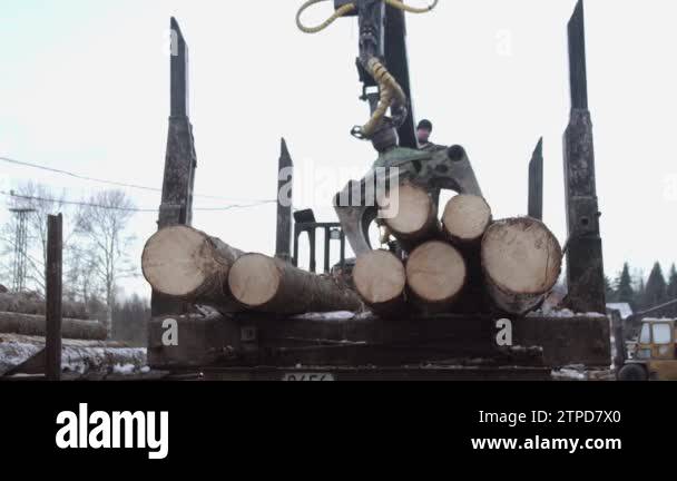 Lorry claw loader unloads wood logs from heavy truck at sawmill factory ...
